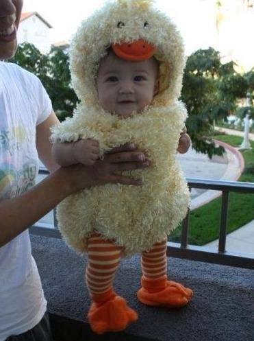 Cuki képek és videók - Kacsa » cukik.hu